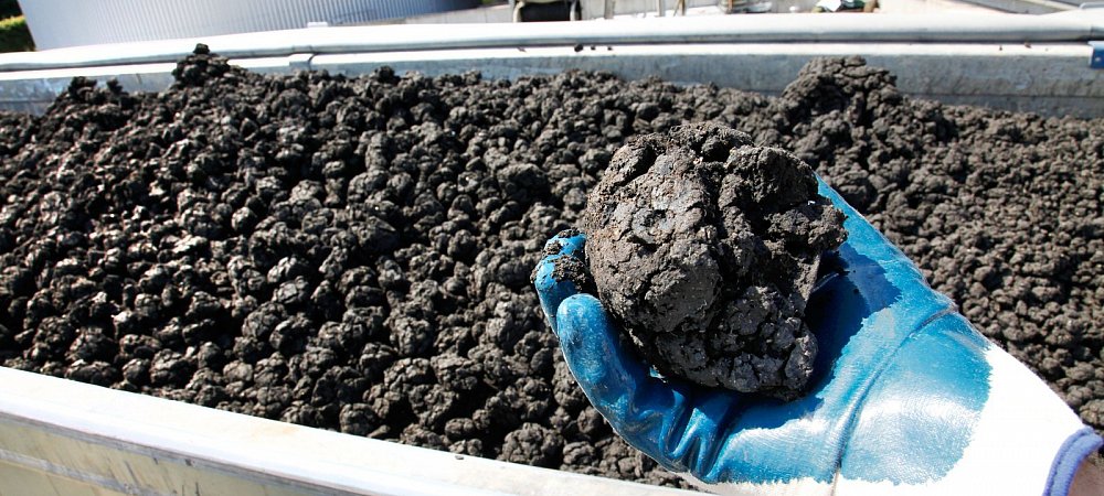 Assessment Study on the Treatment & Recycling of Sludge - Dornier Group